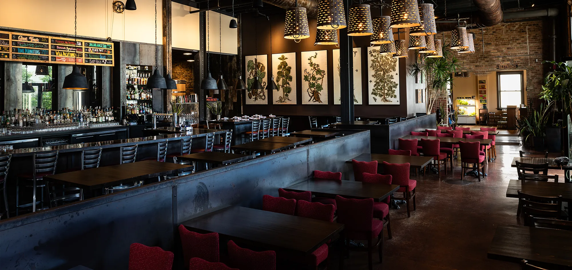 Contact Forbidden Root